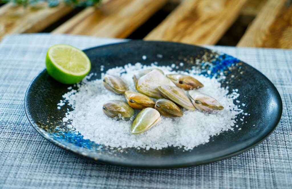 Goolwa Pipi - Adelaide Seafood