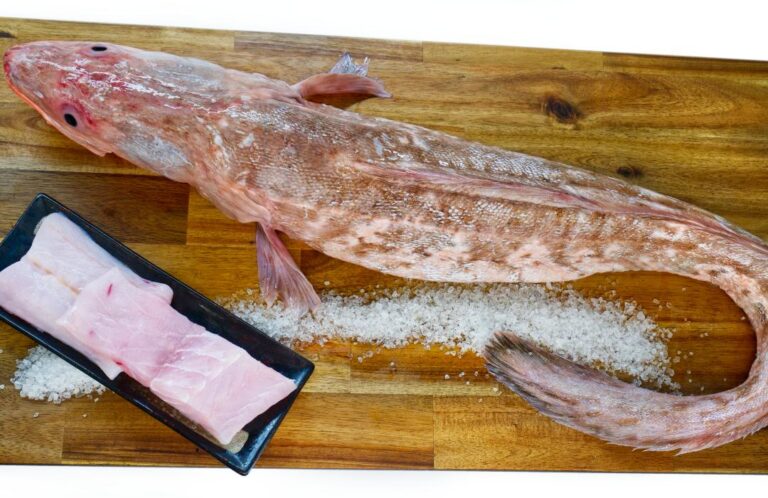 Ling Fillet - Adelaide Seafood