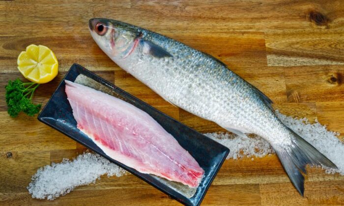 Australian Mullet Fish Delivery Adelaide - Adelaide Seafood