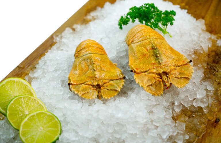 Moreton Bay Bugs - Adelaide Seafood