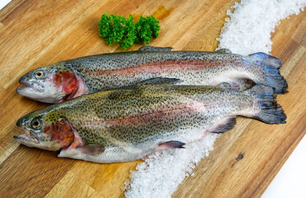Rainbow Trout Whole - Adelaide Seafood