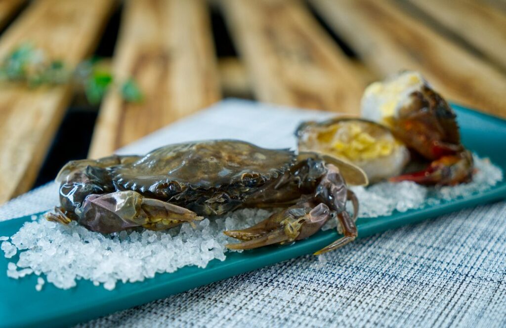 Soft Shell Crabs - Adelaide Seafood