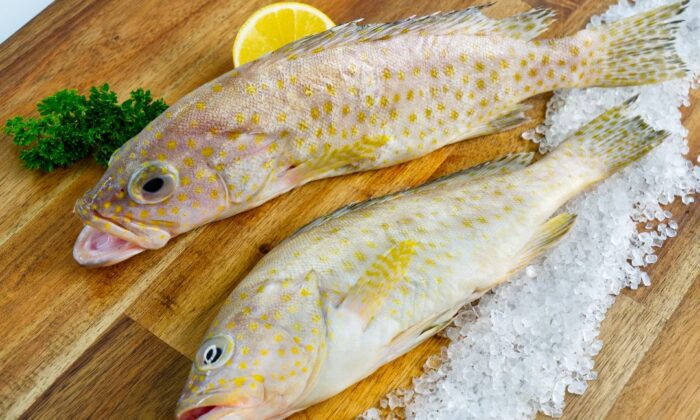 Shop - Page 5 of 6 - Adelaide Seafood